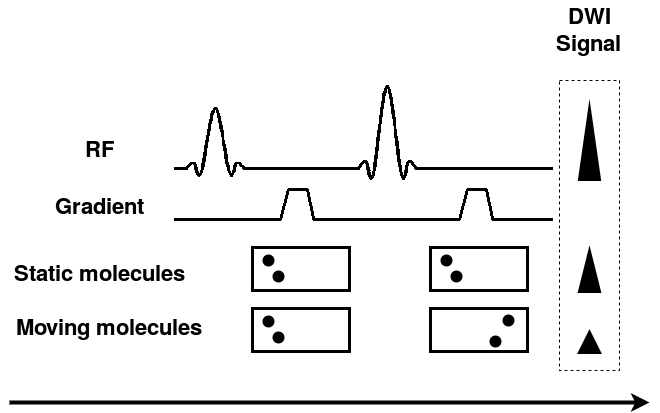 DTI Visualizaton Project